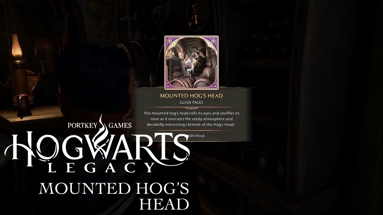 Hogwarts Legacy - Mounted Hog's Head - Field Guide Pages - YouTube