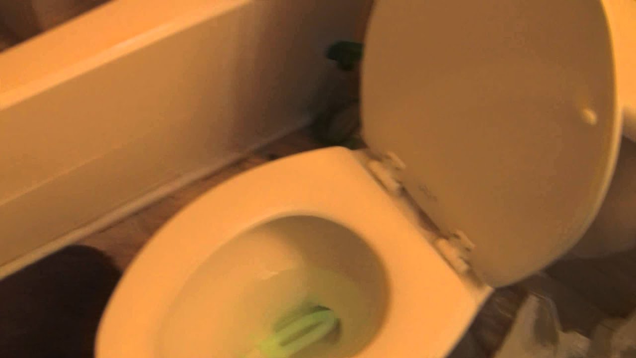 UFO sighting 2013-An Alien Poops in my Bathroom (WTFisTHAT!!!) - YouTube
