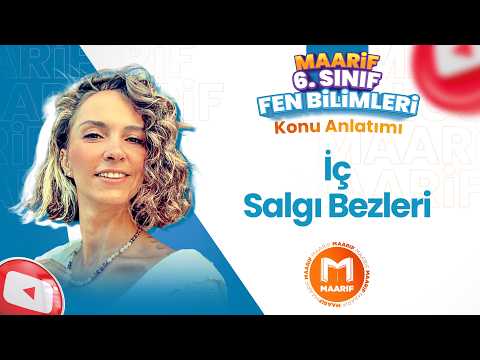 İç Salgı Bezleri | 6. Fen Bilimleri | Maarif Modeli | Ders 13