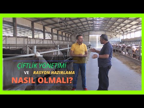 Çiftlik Yönetimi Nasıl Olmalı? (Rasyon Hazırlama ve Tüm Detaylar) - Damdan Dama #rasyon #çiftlik