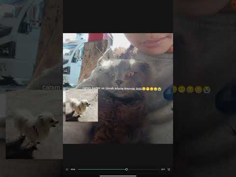 Allah rahmet eylesin mekanı cennet olsun amin 😔😔😔😔