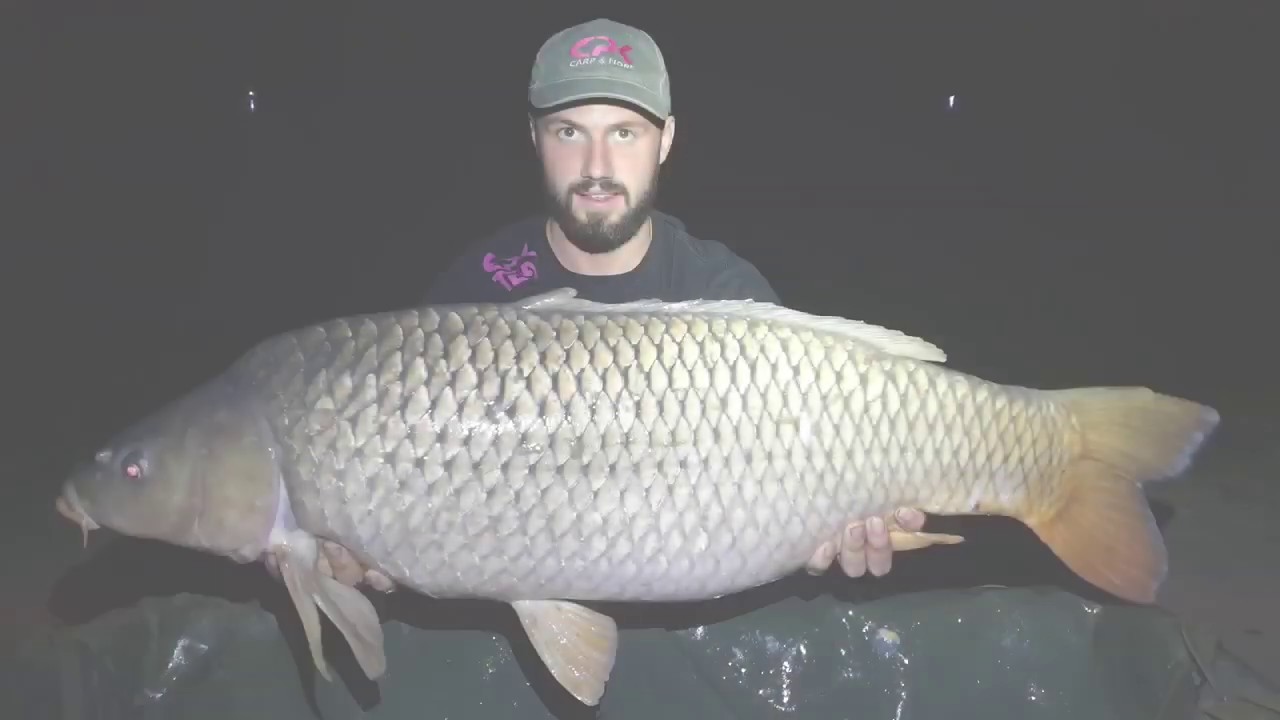 Carp Fishing — Iannis Lake Romania - YouTube