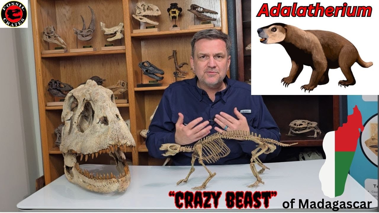 Adalatherium: The Strangest Mammal You’ve Never Heard Of! - YouTube