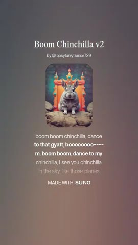Boom Chinchilla - YouTube