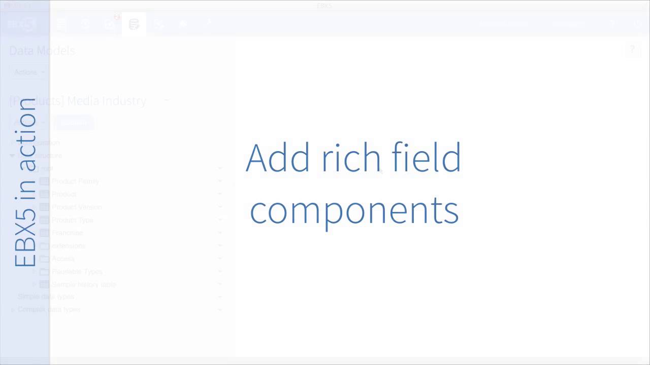 EBX5 in action Customizing the MDM user interface - YouTube