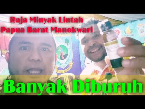 Banyak Diburuh Raja Minyak Lintah Papua Barat Manokwari