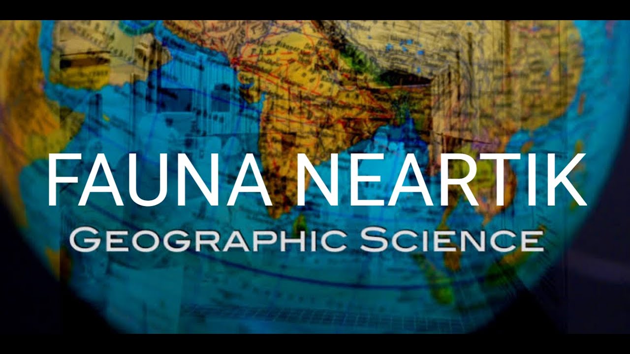 Fauna Neartik | XI IPS 1 - YouTube