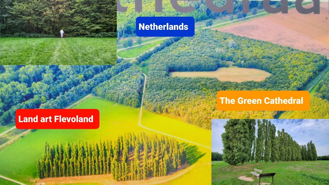 Land Art Flevoland Part 1/ The green Cathedral/Walking tour. - YouTube