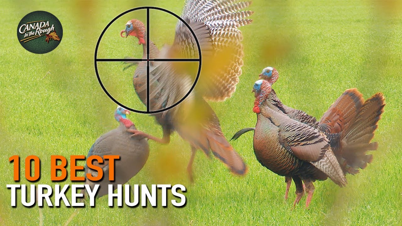 10 BEST Turkey Kills! | ULTIMATE Turkey Hunting Compilation (Under 10 ...