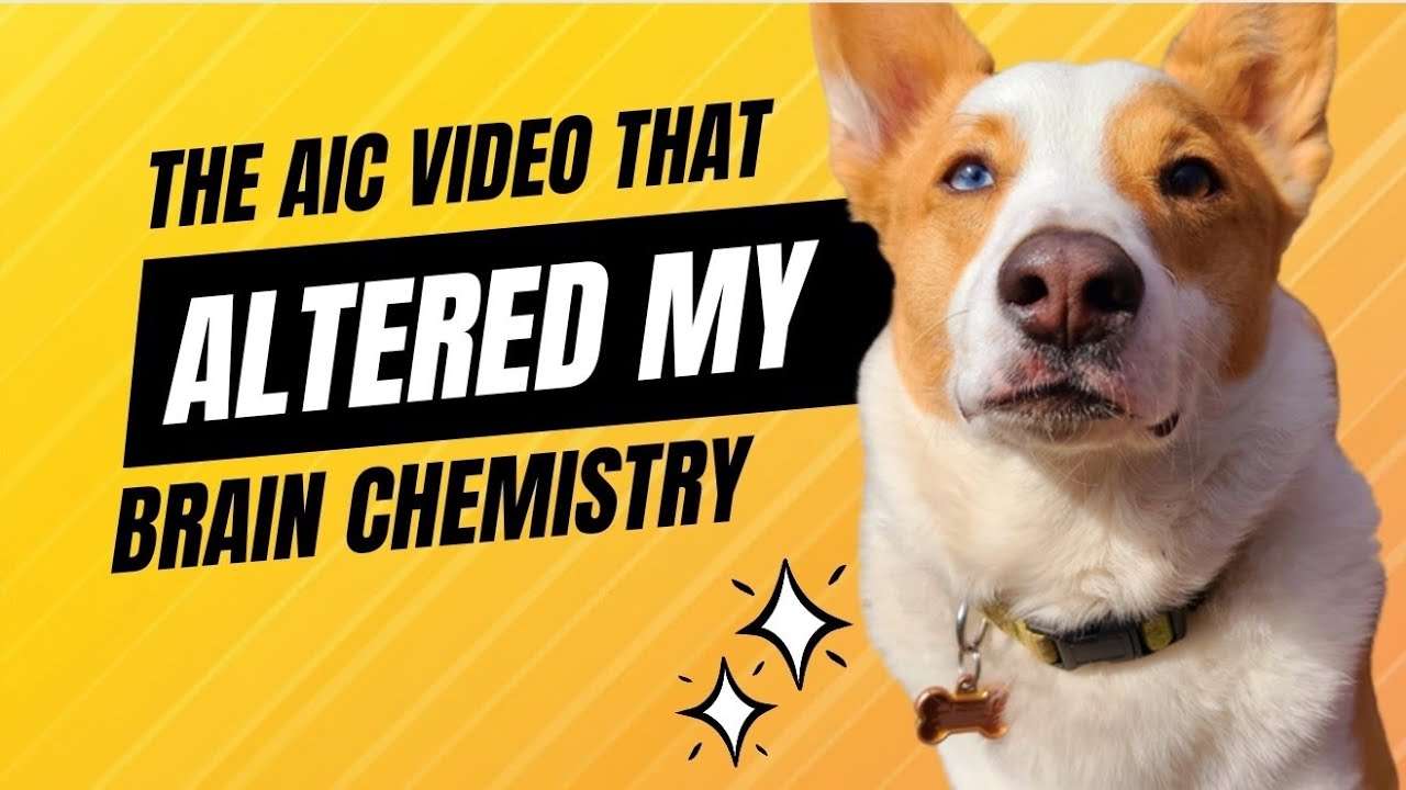 The video that altered my brain chemistry regarding AIC - YouTube