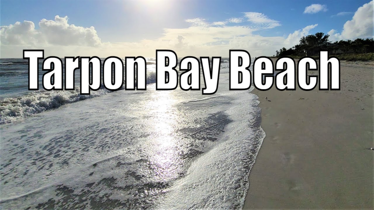 Sanibel Island - Tarpon Bay Beach Walking Tour 2022 - YouTube