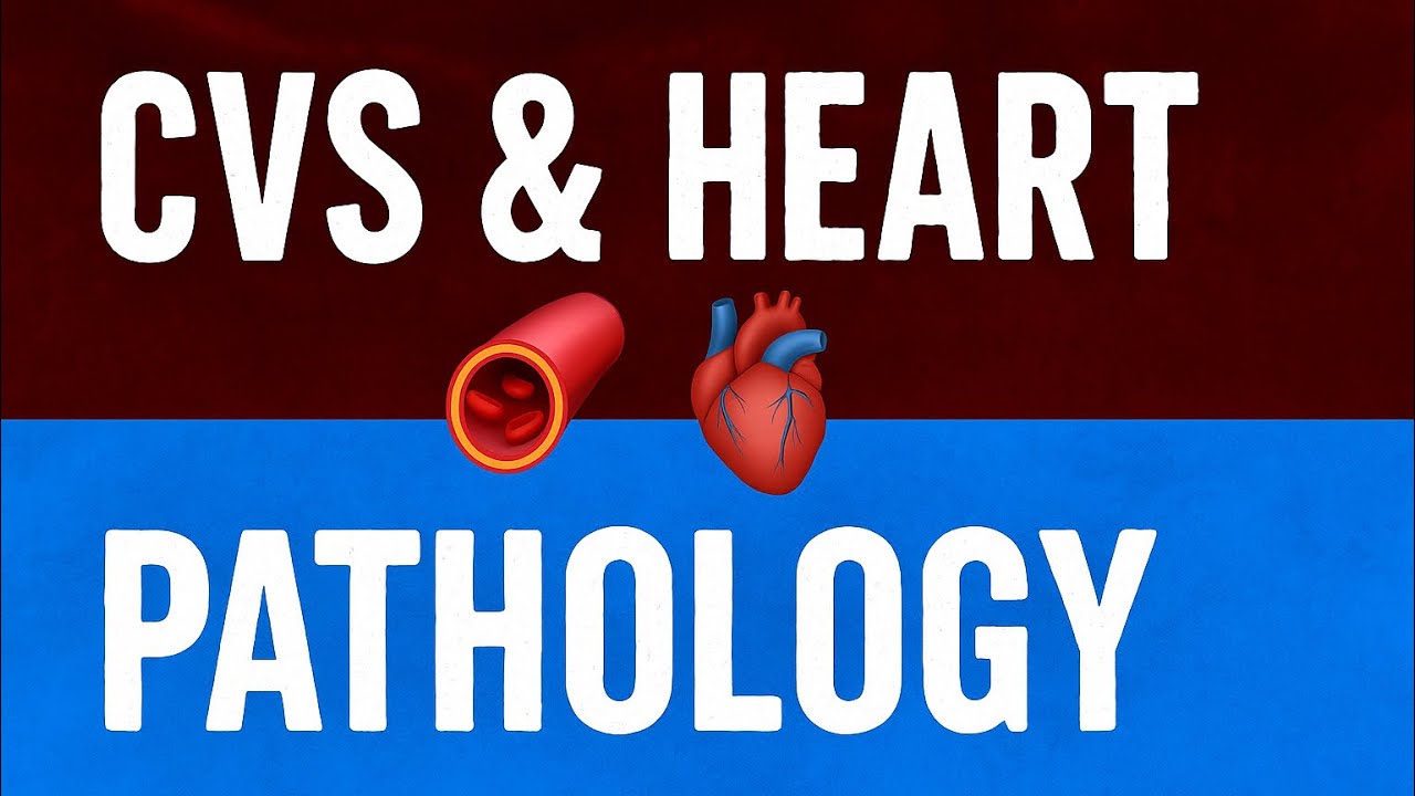 CVS & Heart Pathology 3 || Pathology || MEDACADEMY - YouTube