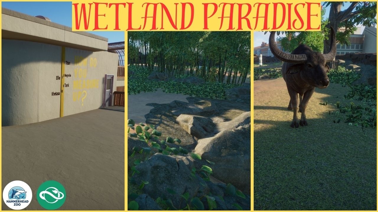 You WON'T BELIEVE This Water Buffalo Exhibit! | Planet Zoo (Hammerhead ...