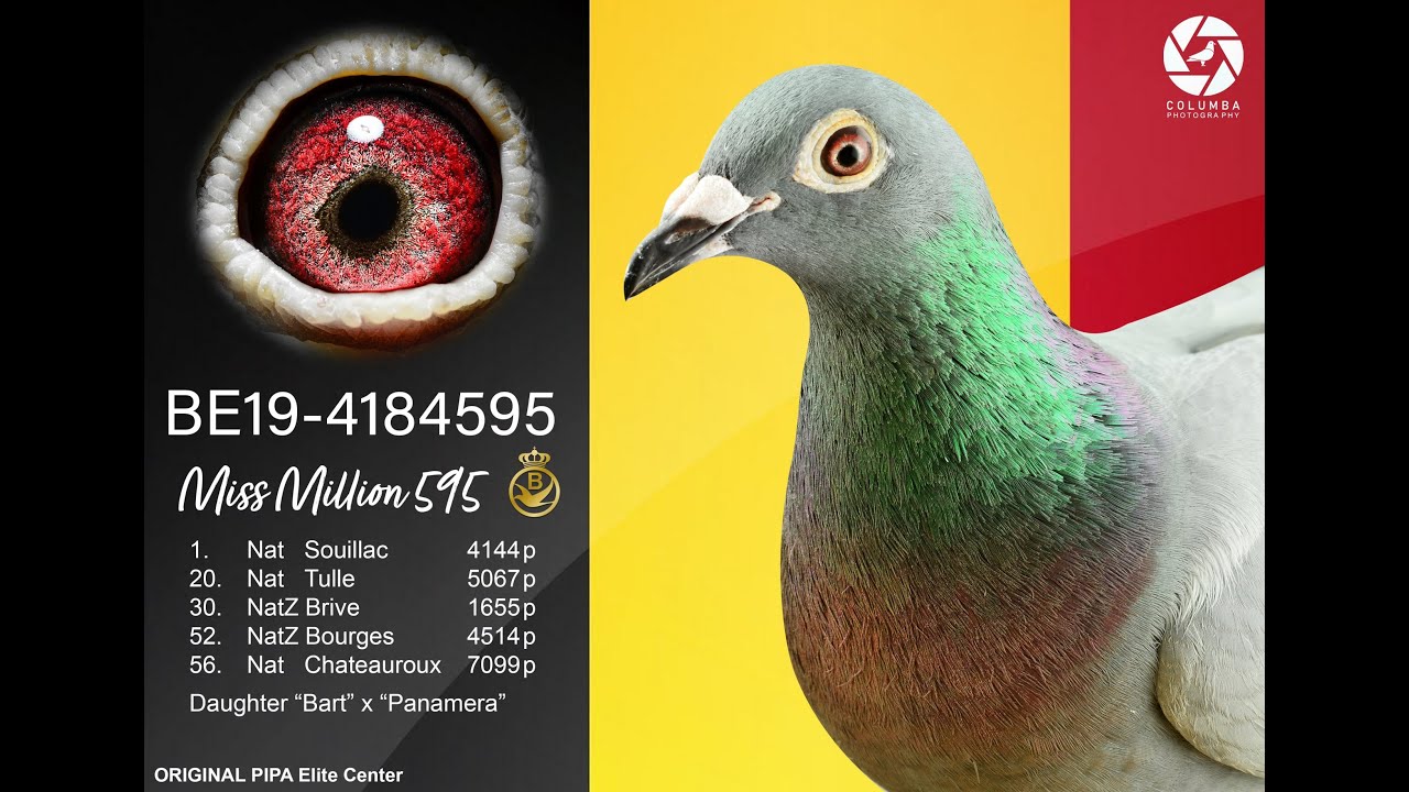 Arin De Keyser 0 ارين ديكيسر - YouTube