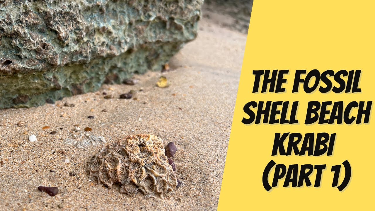 Fossil Shell Beach Krabi, Thailand (Part 1) - YouTube