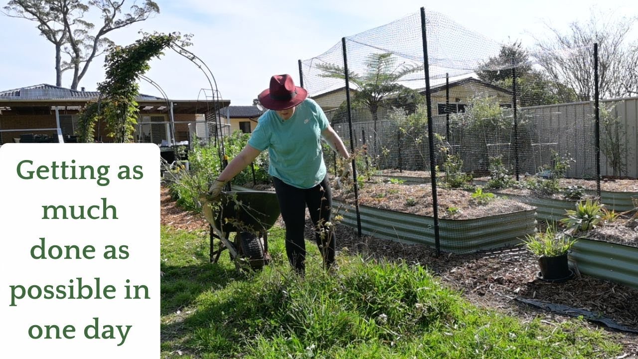 Getting as much done in the garden as possible in one day - Australia ...