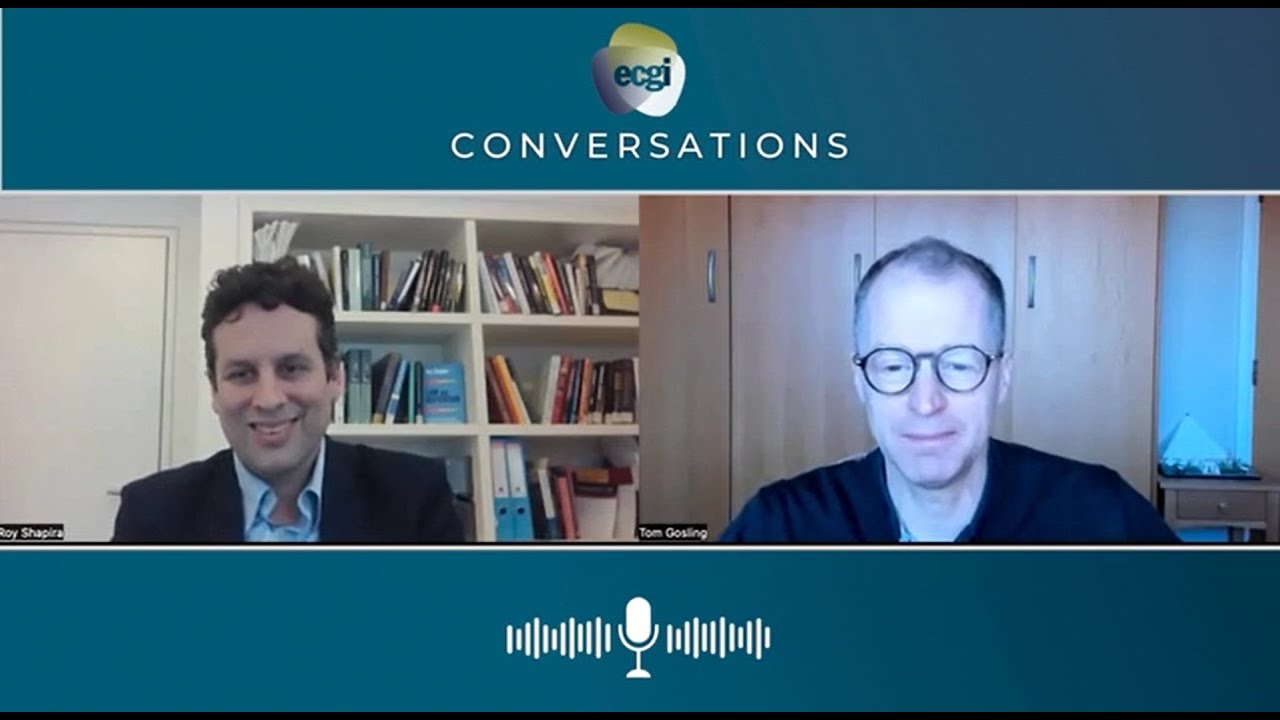 ECGI Conversations - Prof. Roy Shapira - YouTube