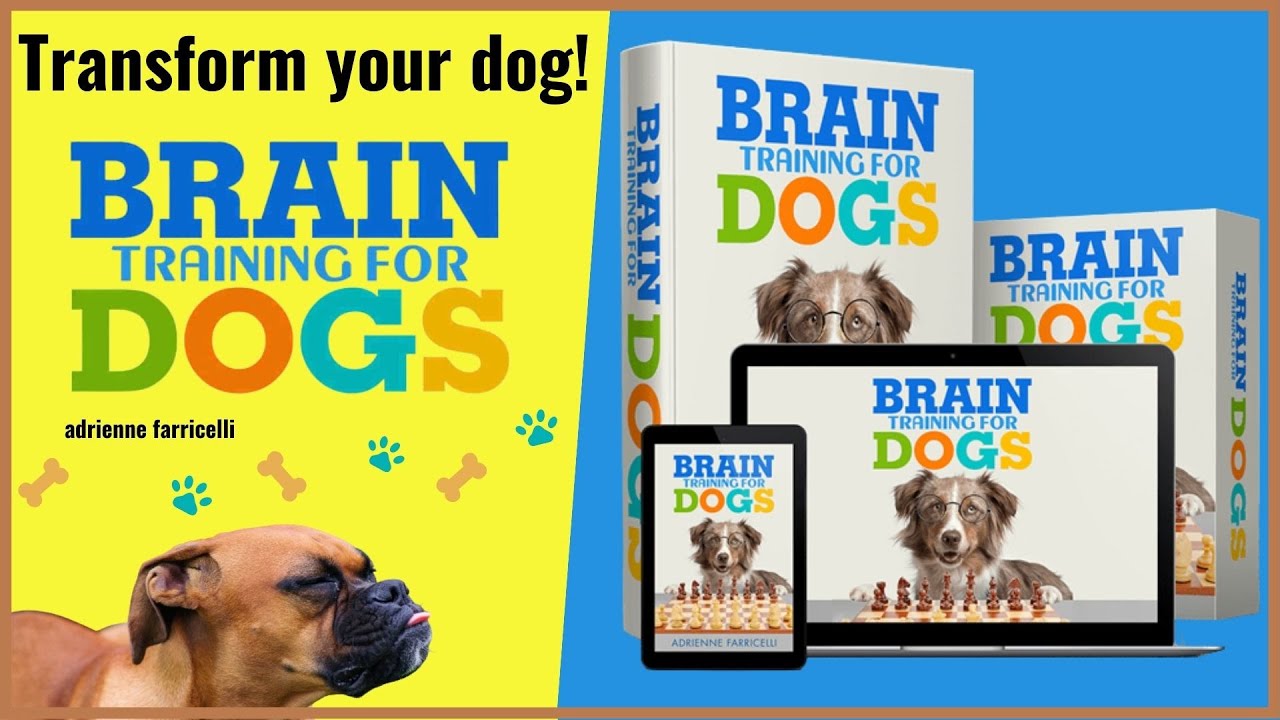 Brain training for dogs adrienne farricelli - YouTube