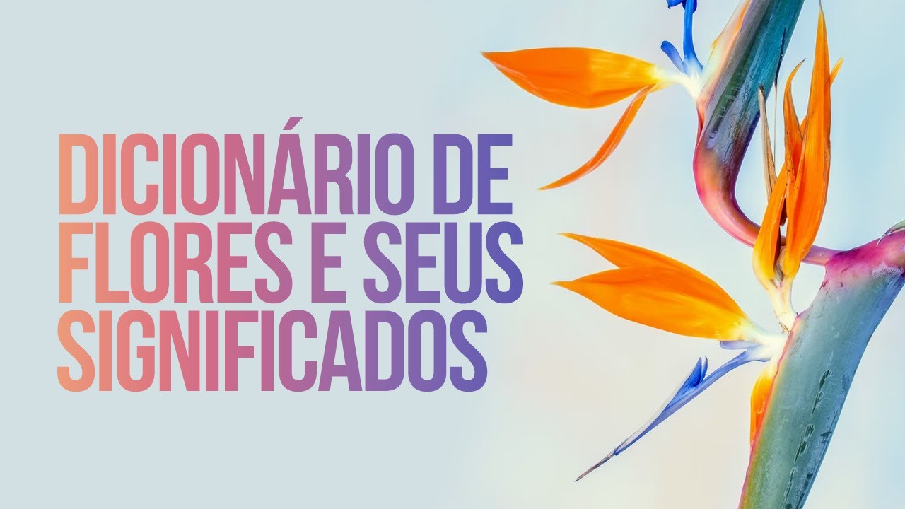 Flores de A a Z: saiba o significado de cada flor - YouTube