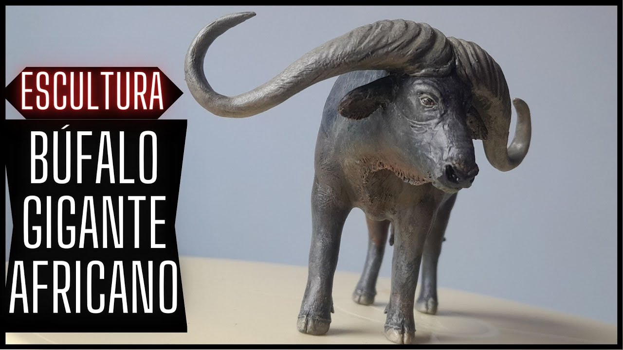 FIZ UM BÚFALO GIGANTE AFRICANO (SYNCERUS ANTIQUUS) - YouTube