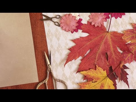 Cómo secar hojas para decorar - Decogarden - YouTube