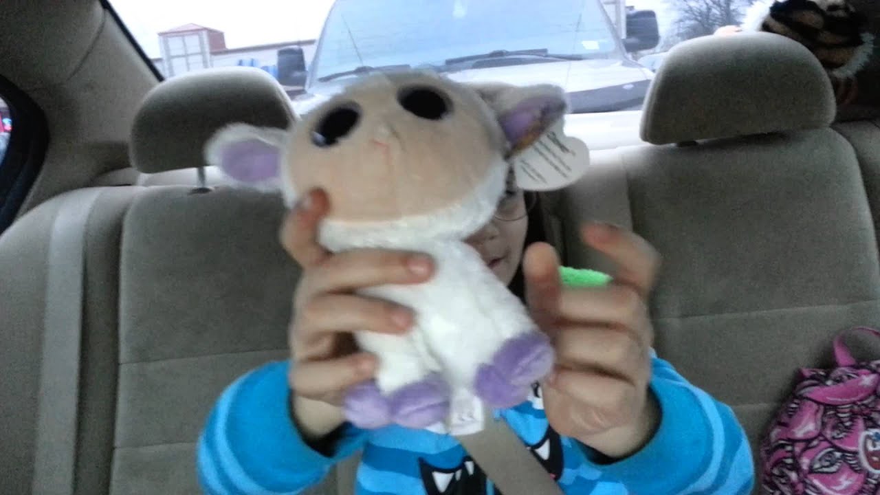 We found Beanie Boo #86 CLOVER!!! - YouTube