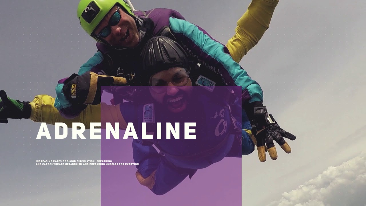 2020 is your year to do a tandem skydive with North London Skydiving ...