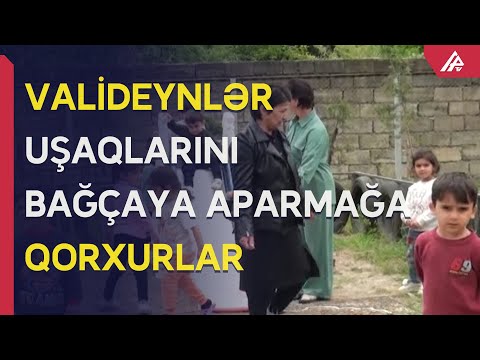 Masallıda 9 kəndə xidmət edən bağça uçmaq üzrədir    APA TV