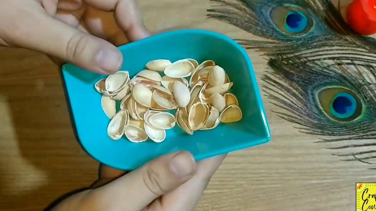 2 easy crafts with pista shells|Best out of Waste crafts@Crafty Couple ...