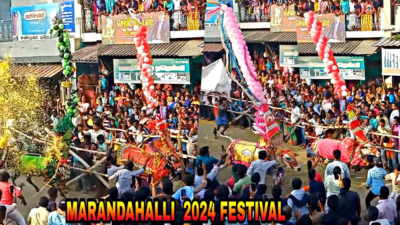 MARANDAHALLI 2024 FESTIVAL @bulletrani8271 - YouTube