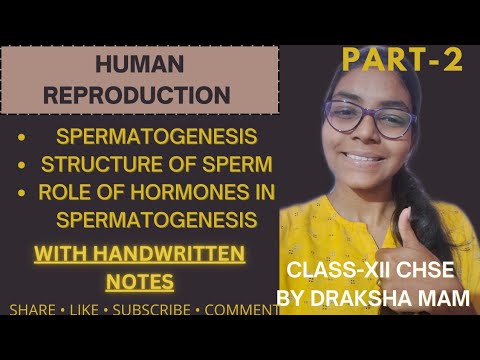 HUMAN REPRODUCTION (Part-2) Spermatogenesis| Structure of Sperm| Role ...