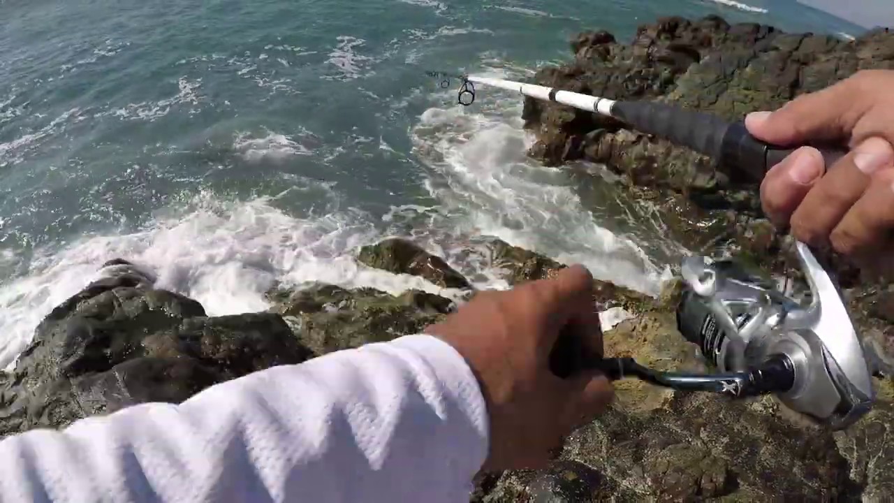 Jornadas de pesca, Mr. Pargo - Señior snapper - YouTube