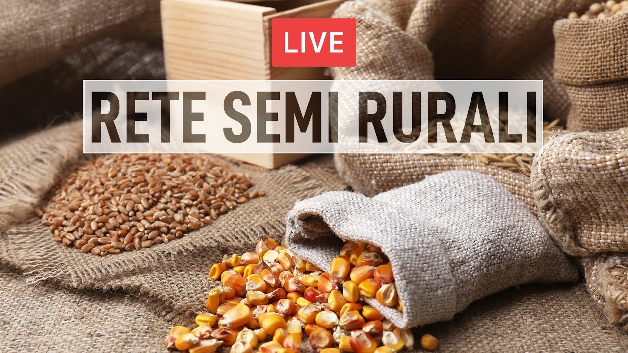Salviamo i semi con Rete Semi Rurali. Incontro con Riccardo Bocci 🔴 ...