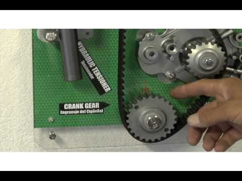 Timing Belt Display - YouTube
