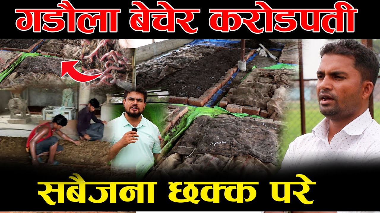 गडौला बेचेरै करोडपति भएका युवा-शुरुमा सबैले पागल भने अहिले सबैजना छक्क ...