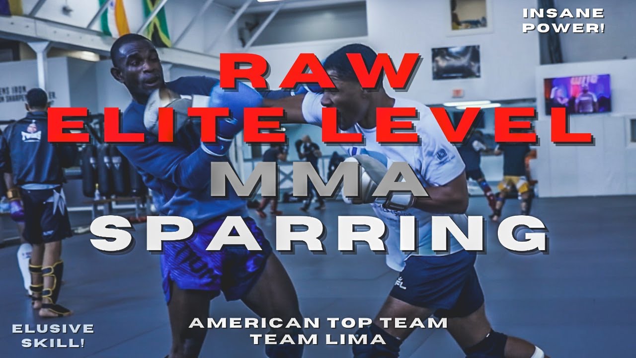 AMERICAN TOP TEAM RAW MMA SPARRING | MMA TRAINING #boxing #muaythai # ...