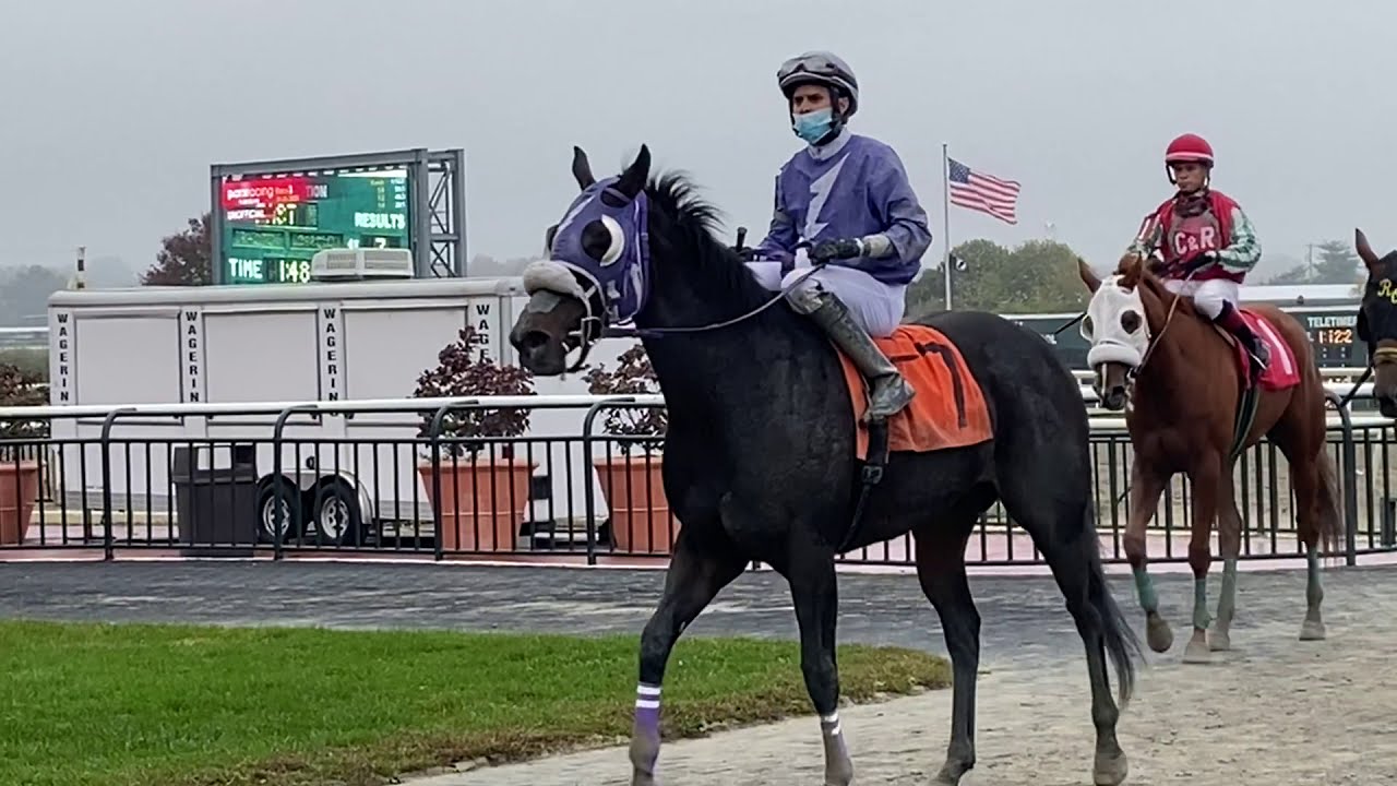 Morrisette gives jockey Anthony Salgado 4 wins in 4 mounts at Parx ...
