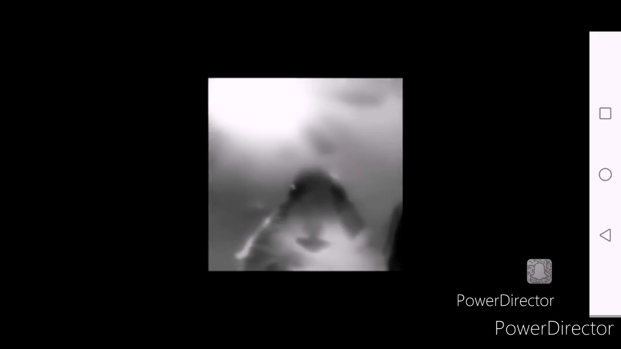 Very scary Hamster - YouTube