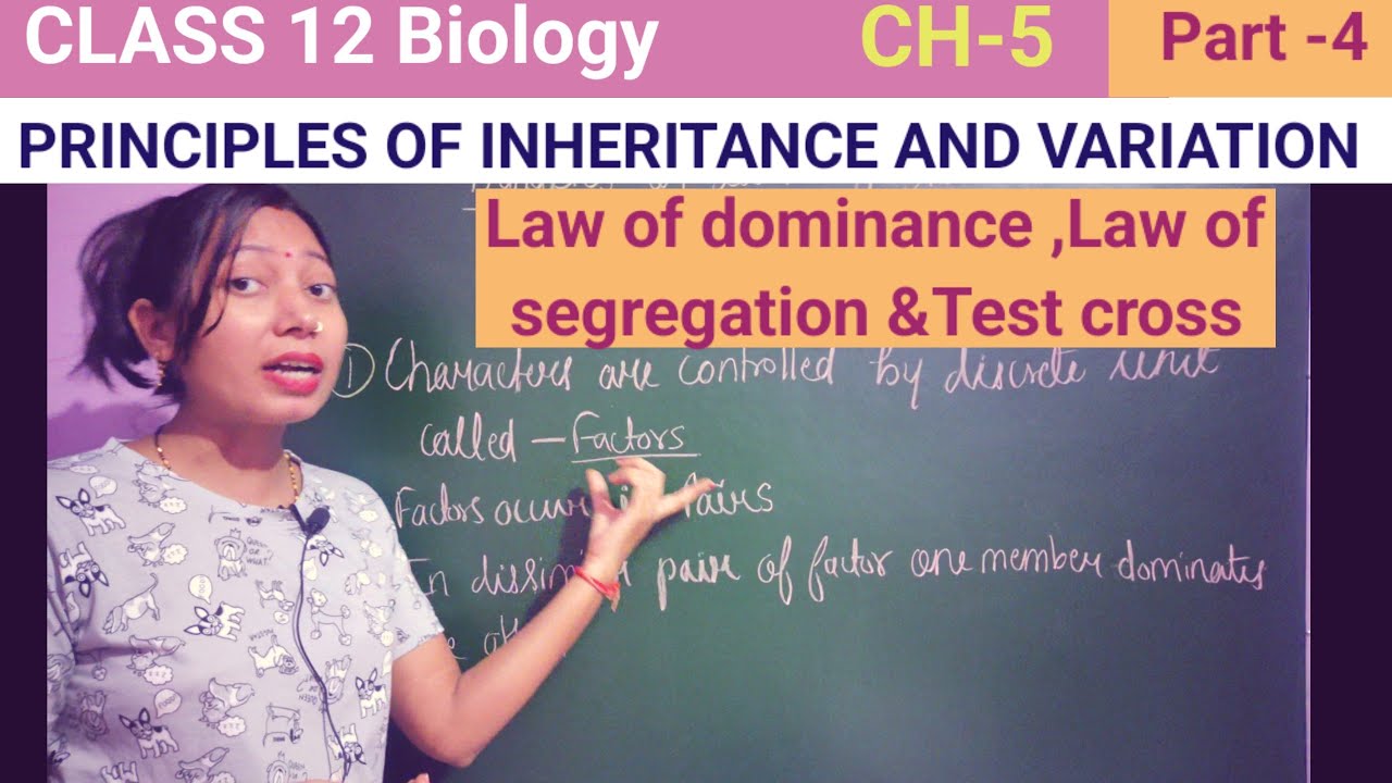 Law of dominance , law of segregation & test cross| Class 12 biology CH ...