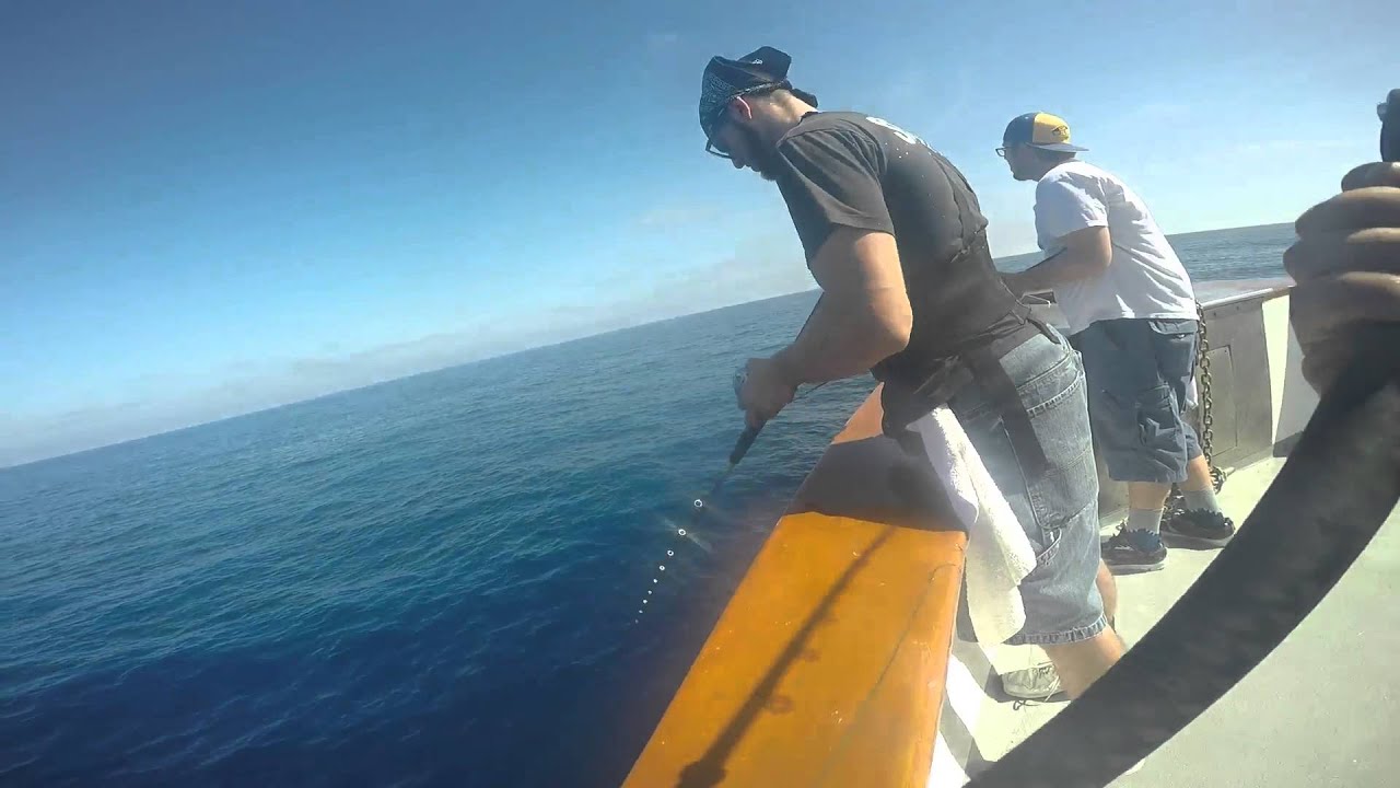 Jig fishing on the Aztec - YouTube