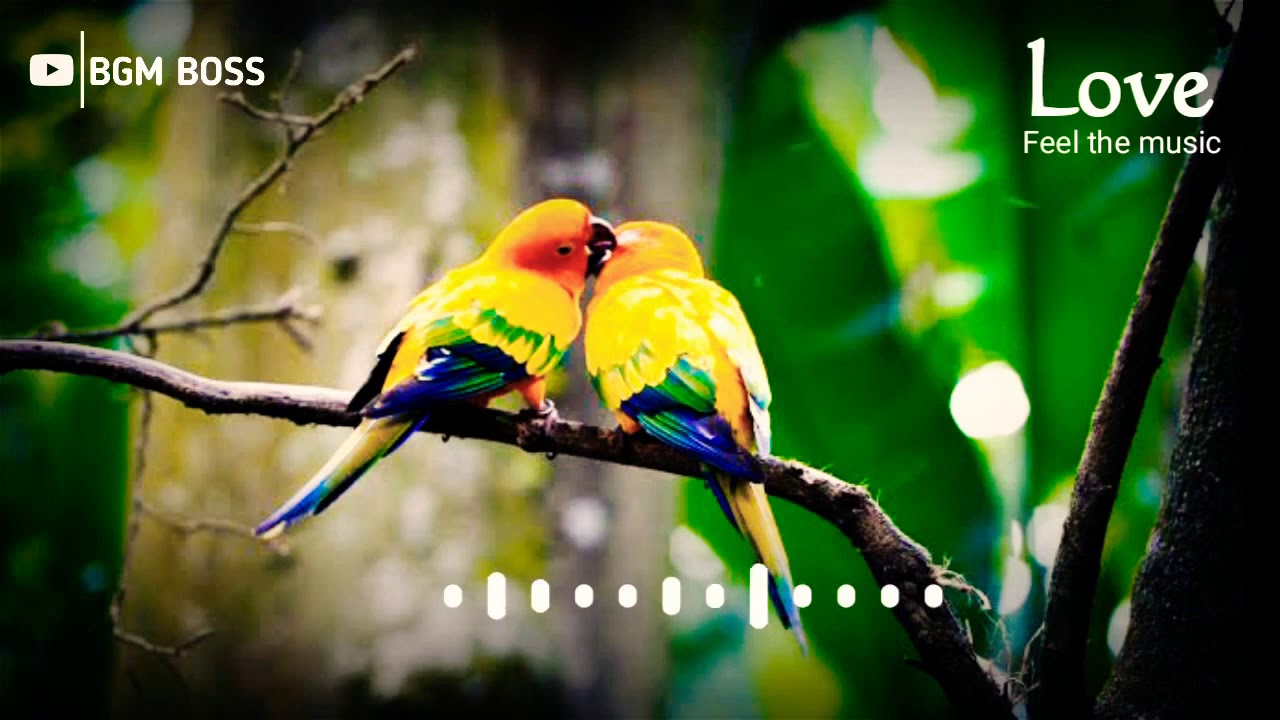 Best Old hindi Instrumental ringtone 💓| Bollywood 90s Ringtone| Bole jo ...