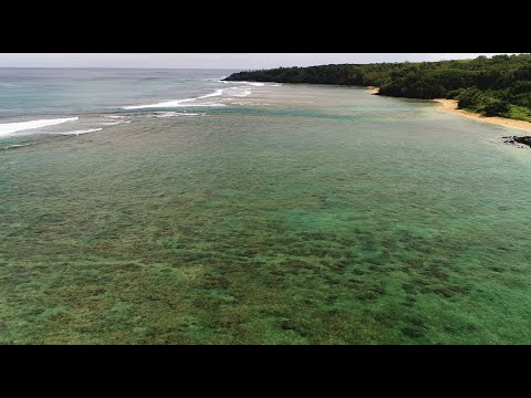 Kauai Pilaa Beach - 4k - YouTube