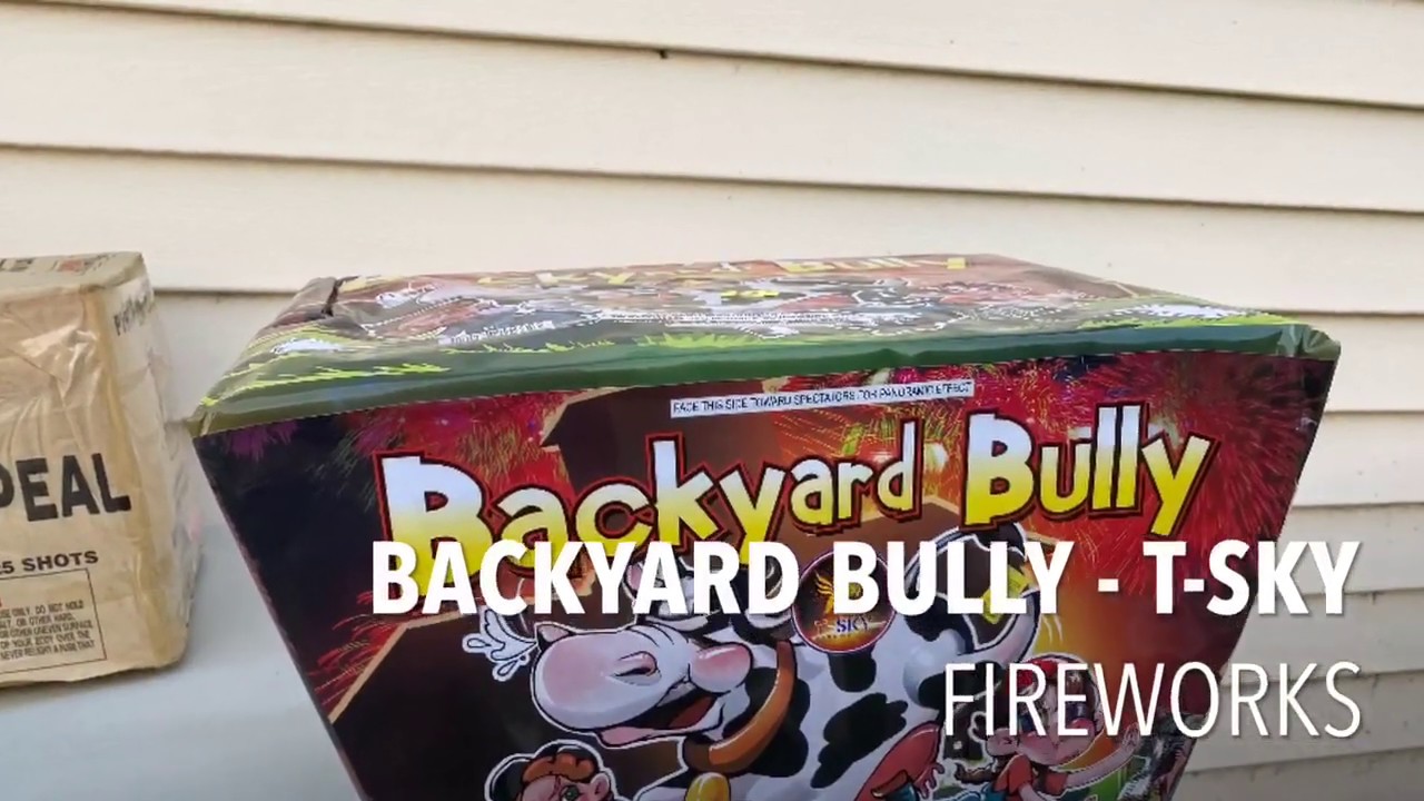 Backyard Bully by T-Sky Fireworks - YouTube