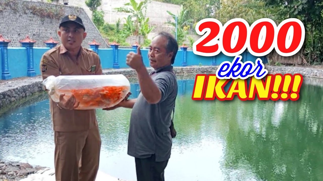 NOSTALGIA BERSAMA DI WISATA SUMBER BULUS, TOSAREN, KEDIRI, JAWA TIMUR ...