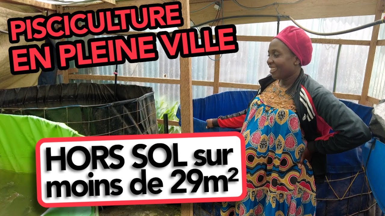 VLOG#2 Élevage de poisson chat hors sol. Pisciculture en pleine ville ...
