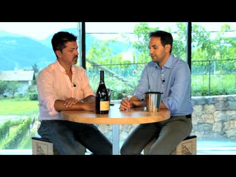 Degustationsvideo - Winkl Sauvignon