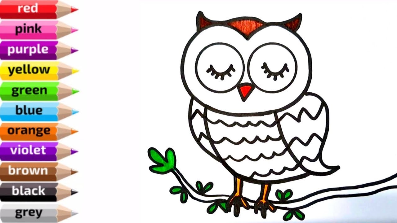 How To Draw an Owl - YouTube