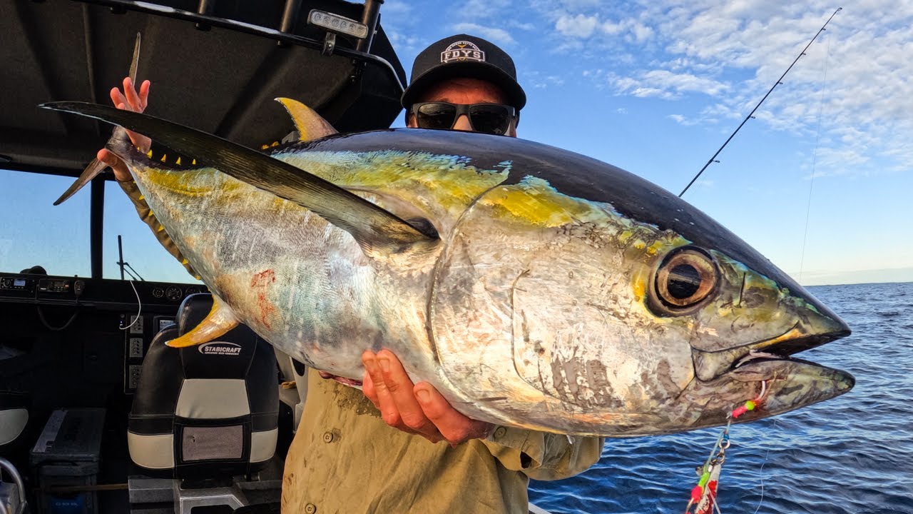 Giant Tuna SOLO - Eating 20kg of SASHIMI - Catch and Cook - YouTube