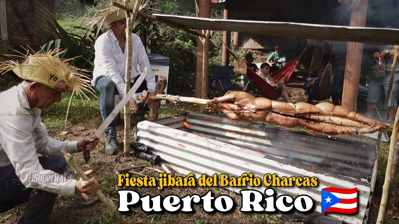 La Fiesta Jibara más Grande de Todo Puerto Rico 2023 - YouTube