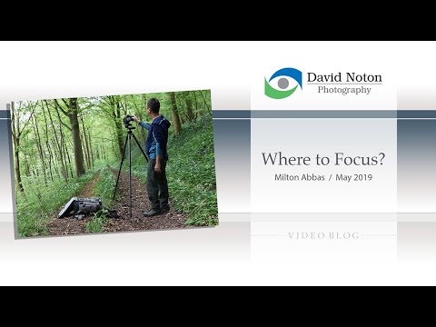 David Noton Photography: Video Tutorial, Issue 89 - Where to Focus ...